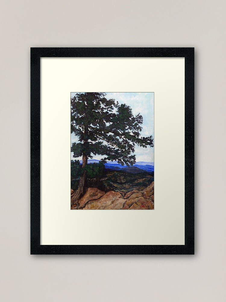 Tree Flagstaff Mountain Boulder Colorado | ROYAL GAMUT ART